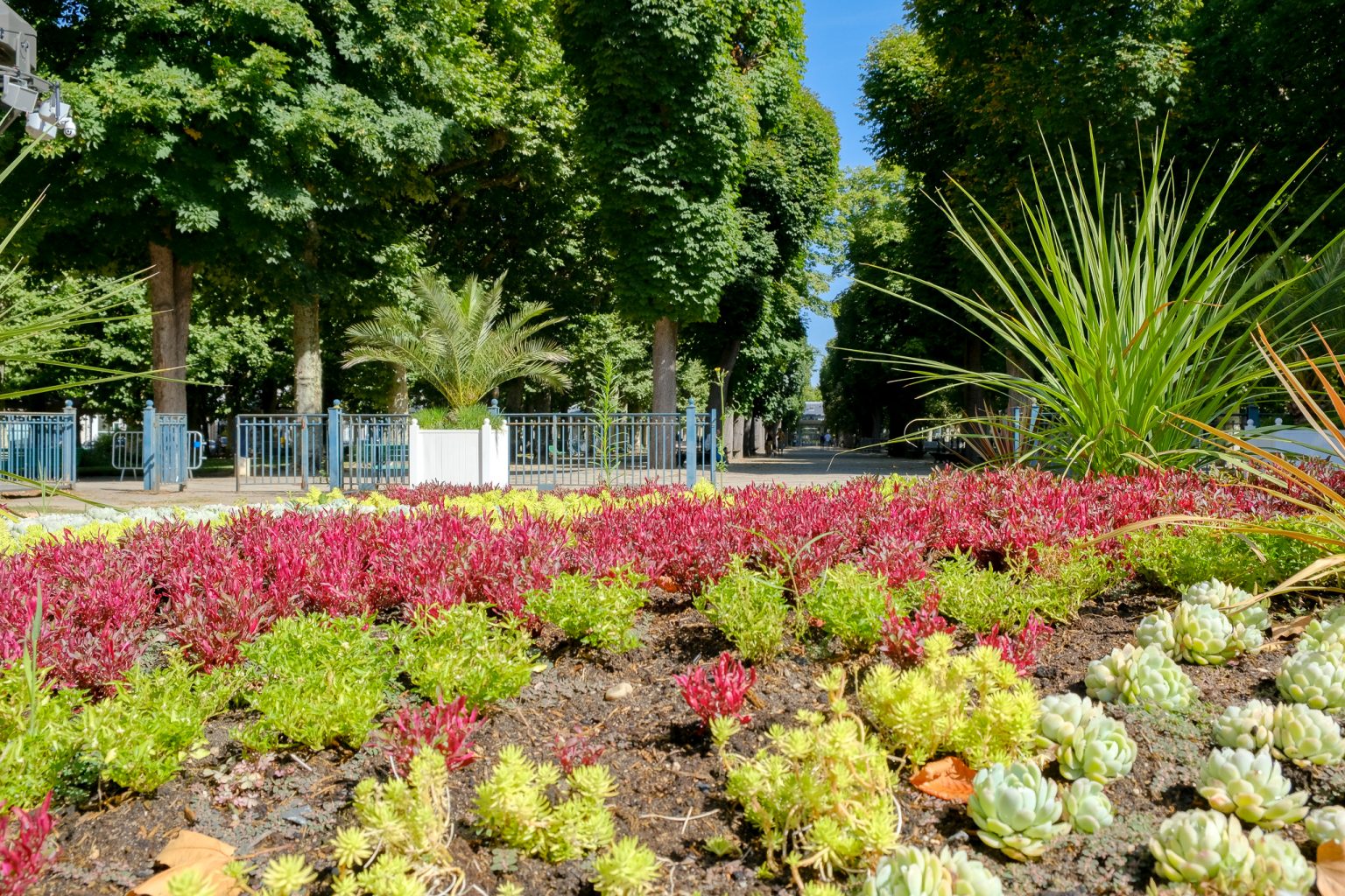 Parc des Sources à Vichy : découvrez le patrimoine de Vichy